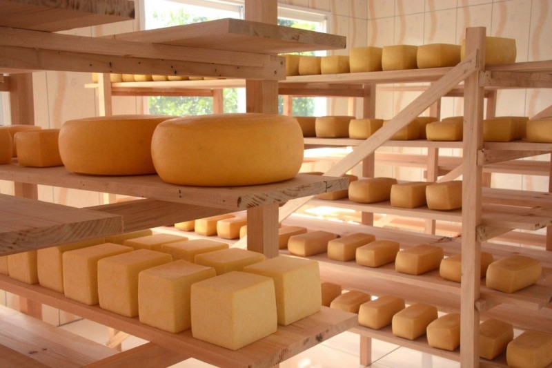 Produtores de queijo artesanal serrano podem aderir ao selo arte e ...
