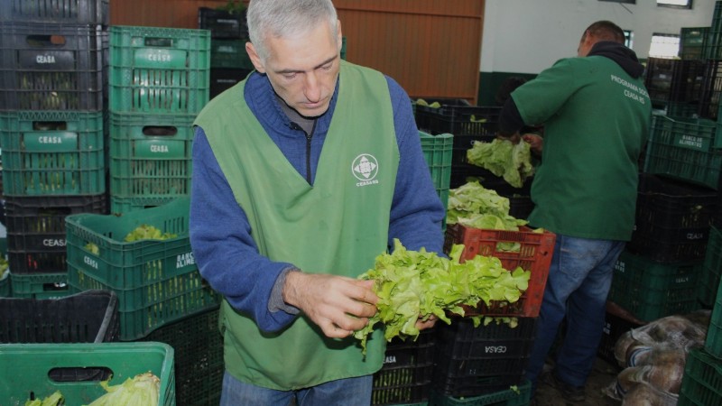 Ceasa doará 7,5 toneladas de alimentos para desabrigados e desalojados ...